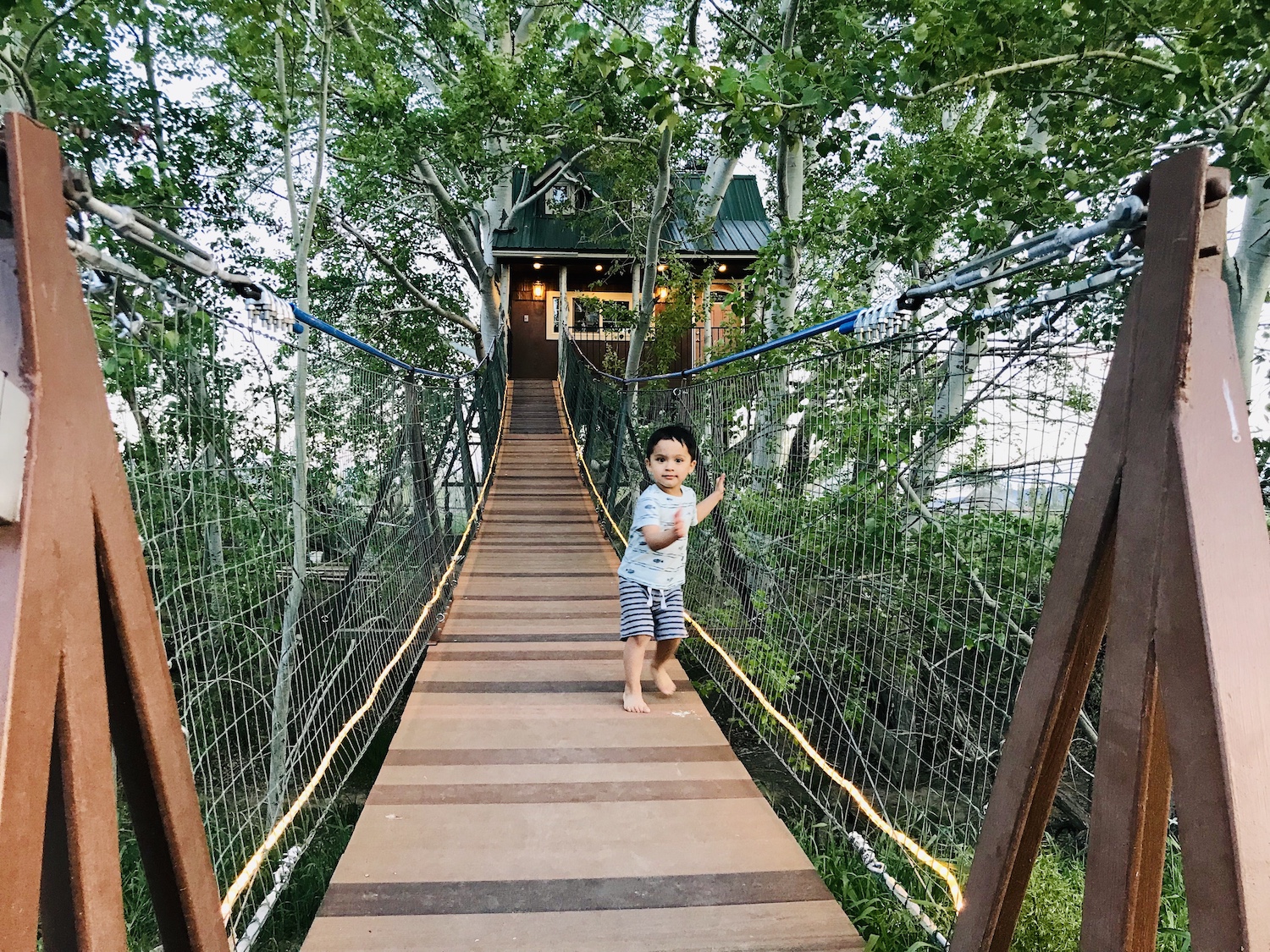 One Night in a Utah Treehouse: Magical Family Vacation – Land of Lloyds
